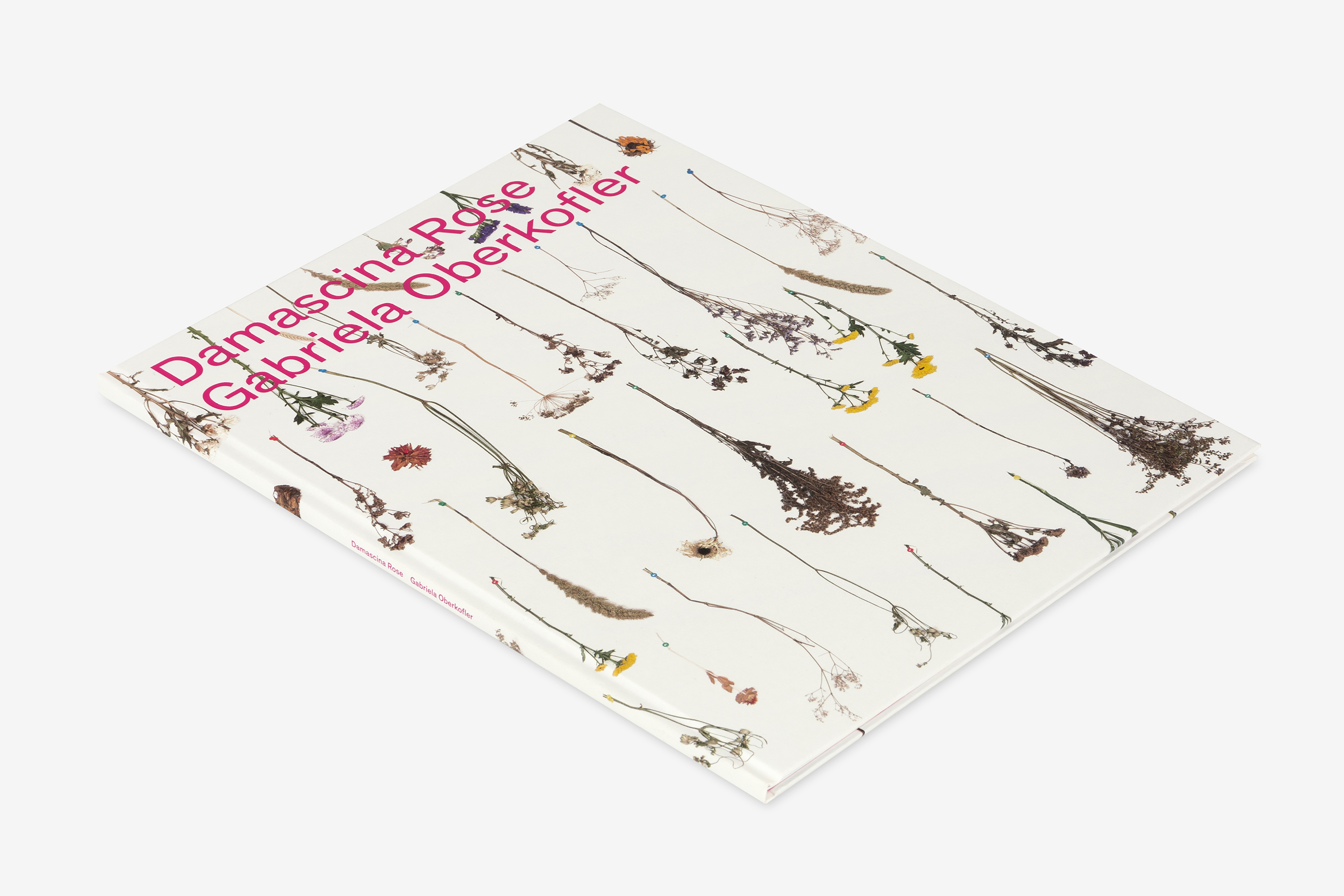 HFS Studio — Damascina Rose