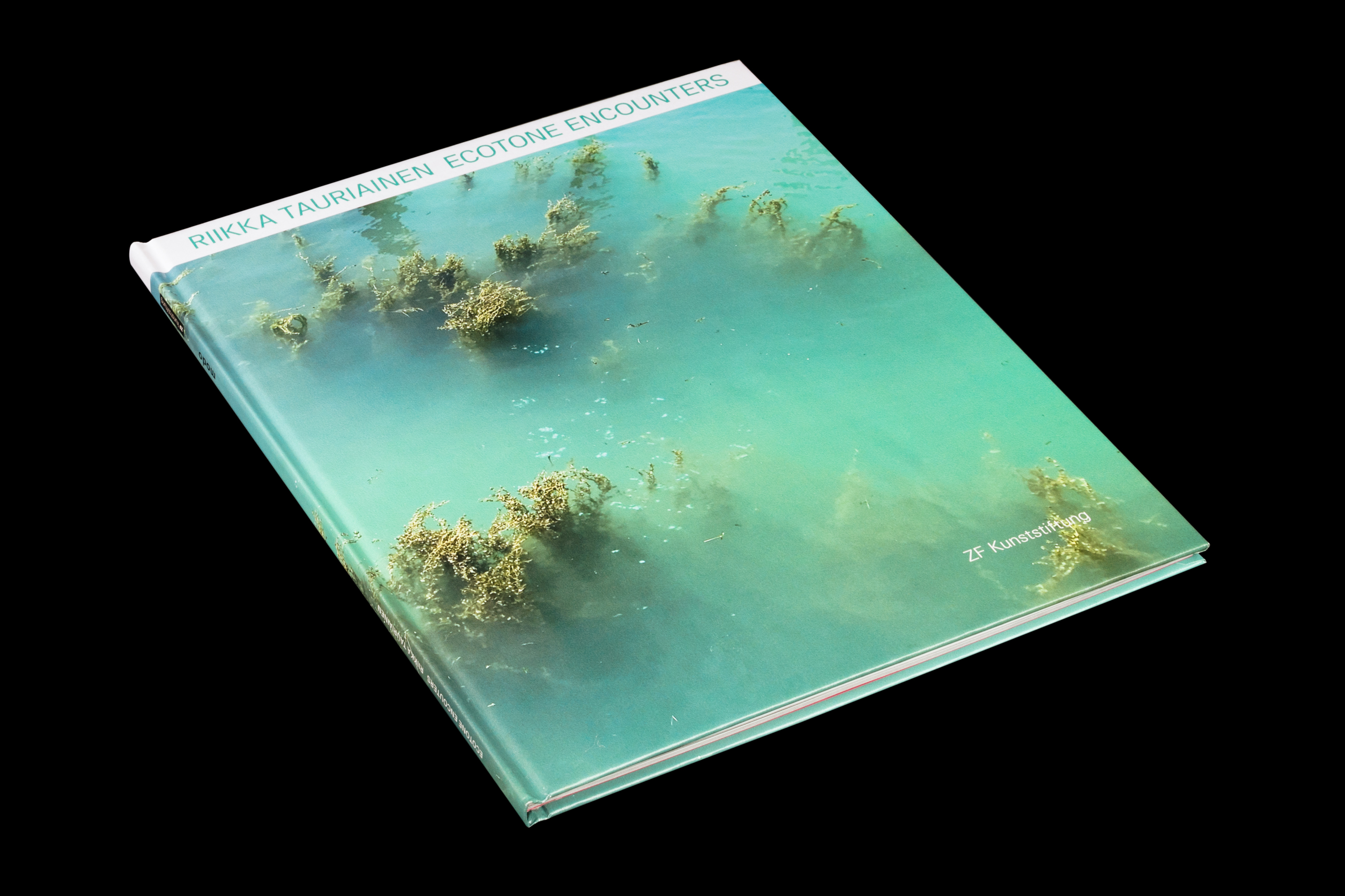 HFS Studio — Riikka Tauriainen